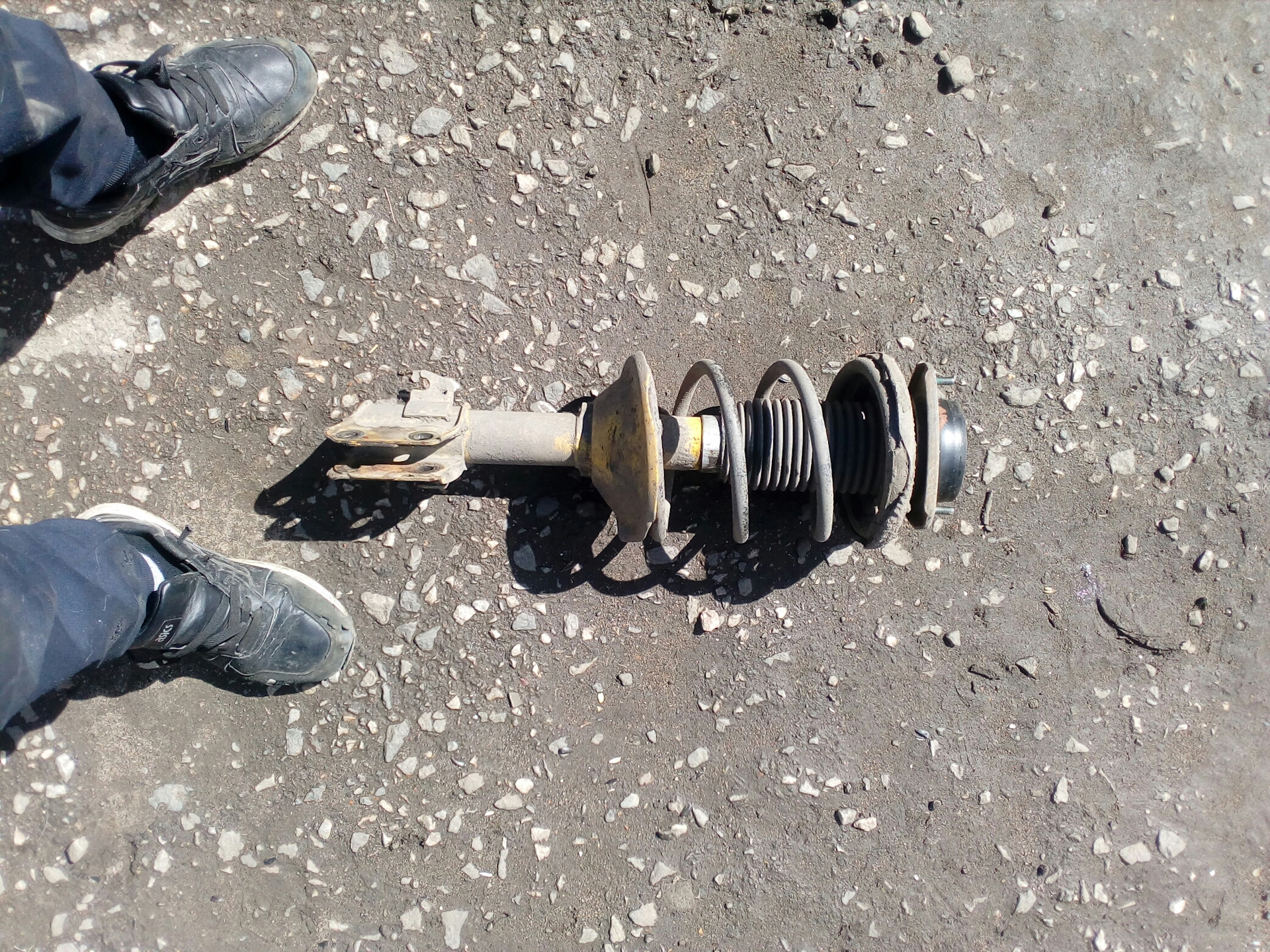 пружины "Prova" на стойки "Bilstein" — Subaru Legacy (BD/BG/BK), 2,5 л ...