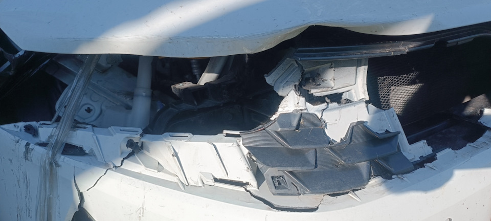 Восстановилась после ДТП со здоровенным лосем. — KIA K5 (3G), 2 л, 2020 ...