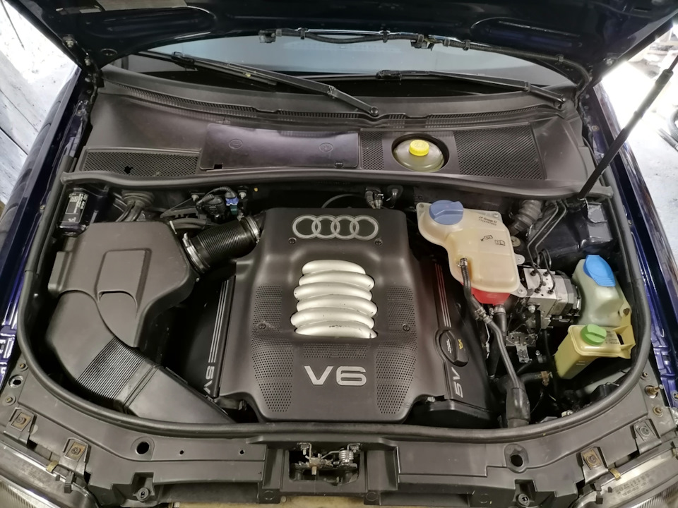 Заменил маслеце — Audi A6 Avant (C5), 2,4 л, 1998 года | плановое ТО ...