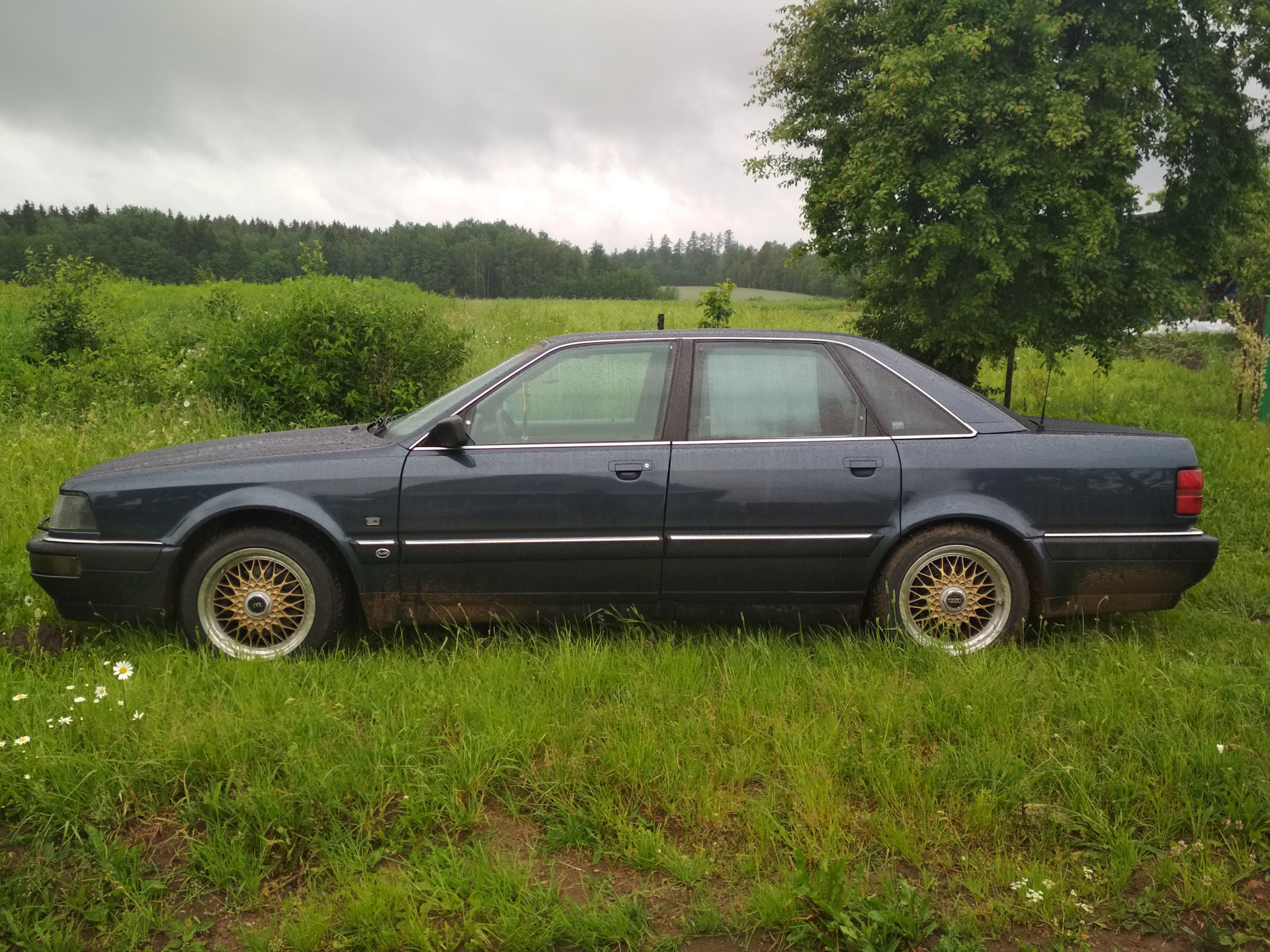 Фото Лето 2021 Где-то на селе — Audi V8, 3,6 л, 1990 года | путешествие ...