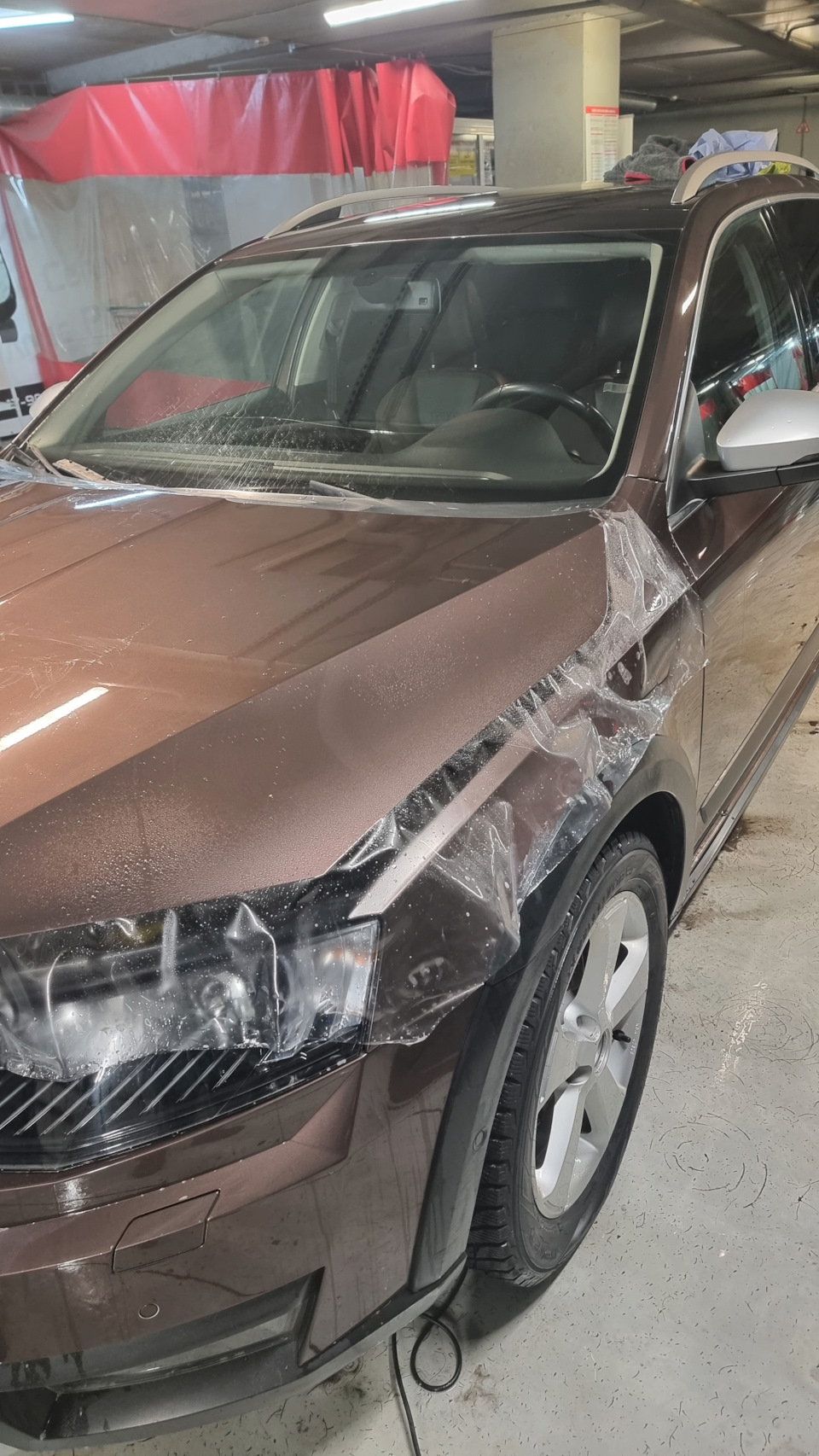 Защитная накладка на задний бампер+ пленка на капот — Skoda Octavia ...