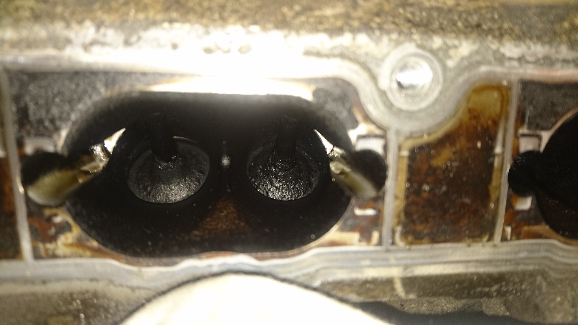 Профилактика двигателя — Audi A4 (B7), 2 л, 2007 года | своими руками ...