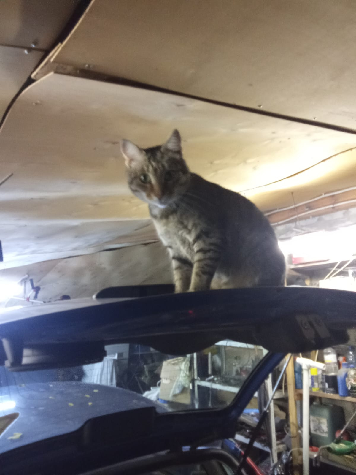 Помпа — Lada Калина хэтчбек, 1,6 л, 2008 года | поломка | DRIVE2