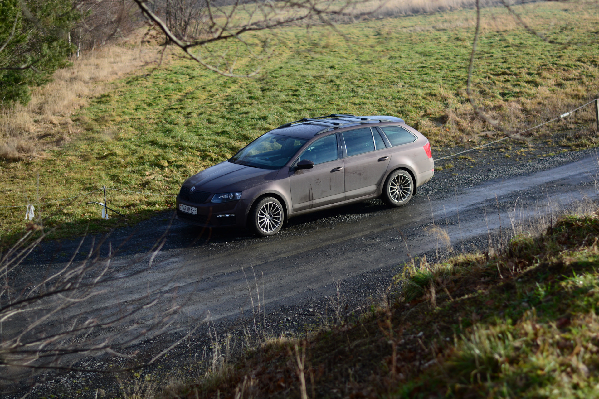 Ковка Fuchs_2 R17 на Октахе (+Kormoran SNOW) — Skoda Octavia Combi A7 Mk3, 1,8 л, 2016 года ...