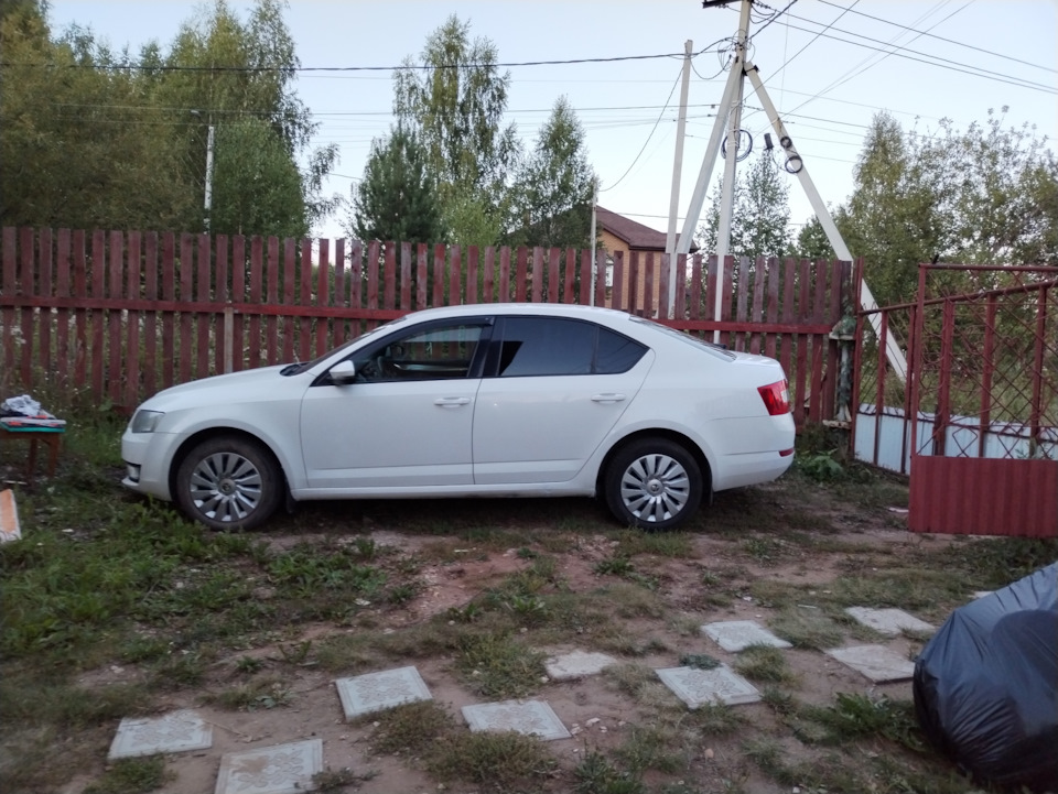 Свечи, лампочки, внешка, подготовка чистке впуска. — Skoda Octavia A7 ...