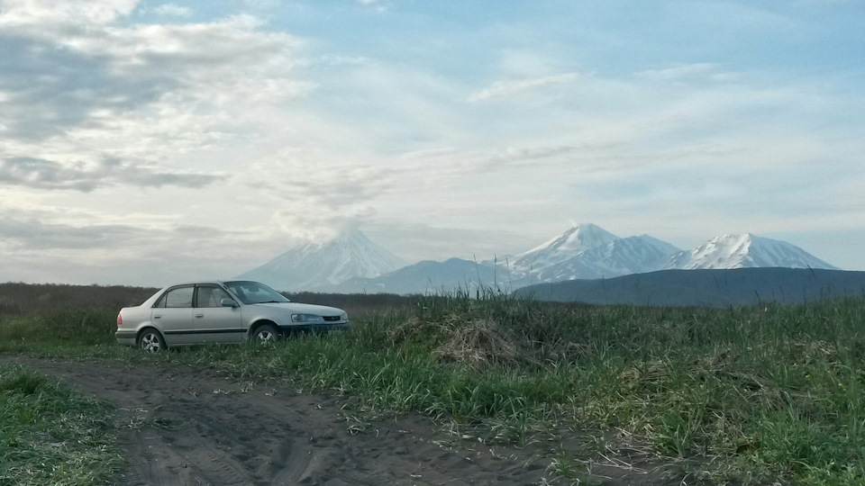 Toyota Corolla (110) 1.6 бензиновый 1995 | AE114 Седан на DRIVE2