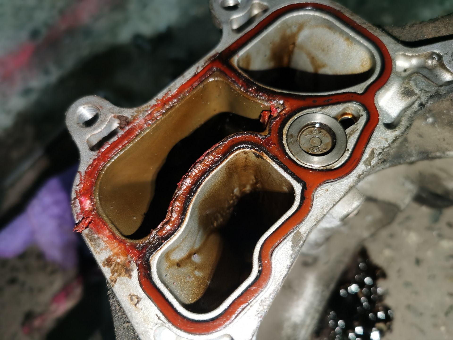 Масло в бочке ОЖ — SEAT Leon FR (Mk3), 1,8 л, 2014 года | визит на ...