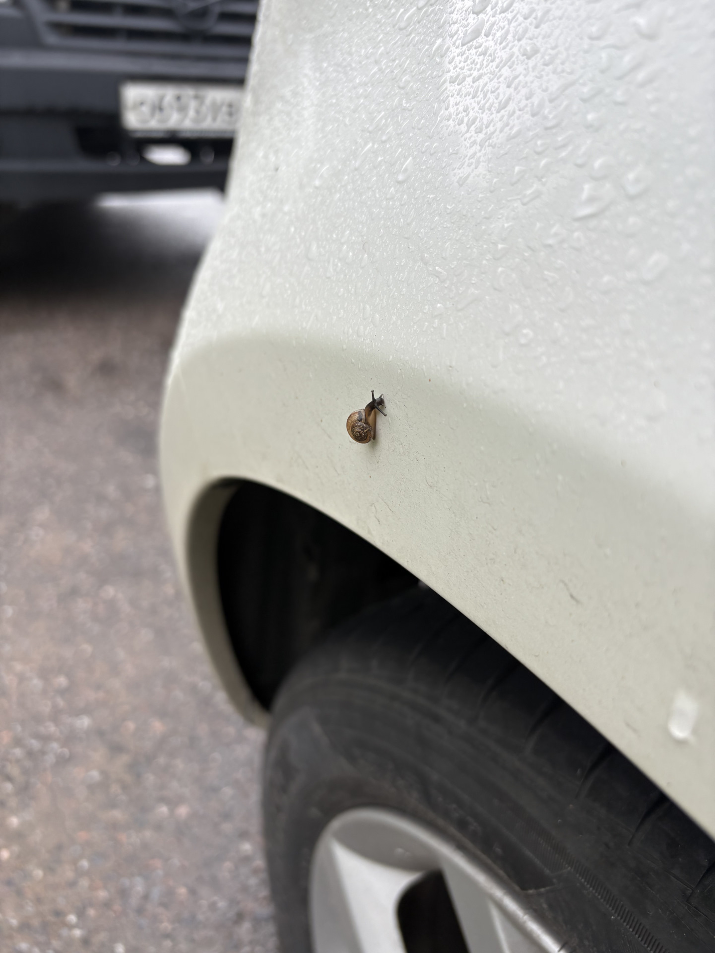 Мелкое обслуживание — Nissan Cube III, 1,5 л, 2017 года | плановое ТО | DRIVE2