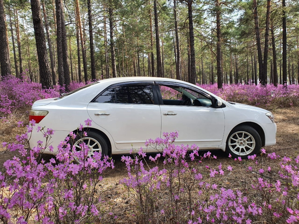 Запись, 5 августа 2019 — DRIVE2