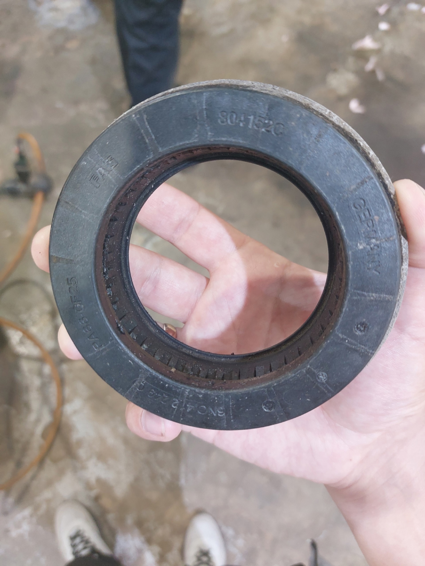 160236 опорные подшипники VAG 6N0412249E — Skoda Octavia A5 Mk2, 1,8 л ...