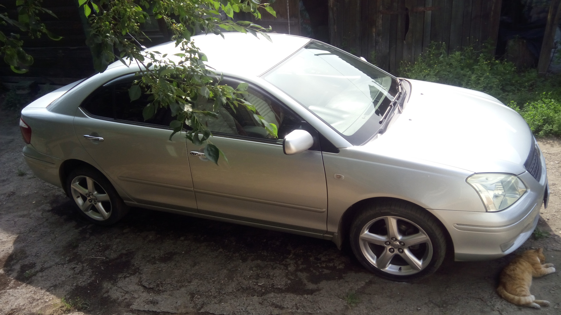 Классика жанра… Диски Caldina GT. — Toyota Premio (T240), 1,8 л, 2002 года | колёсные диски | DRIVE2