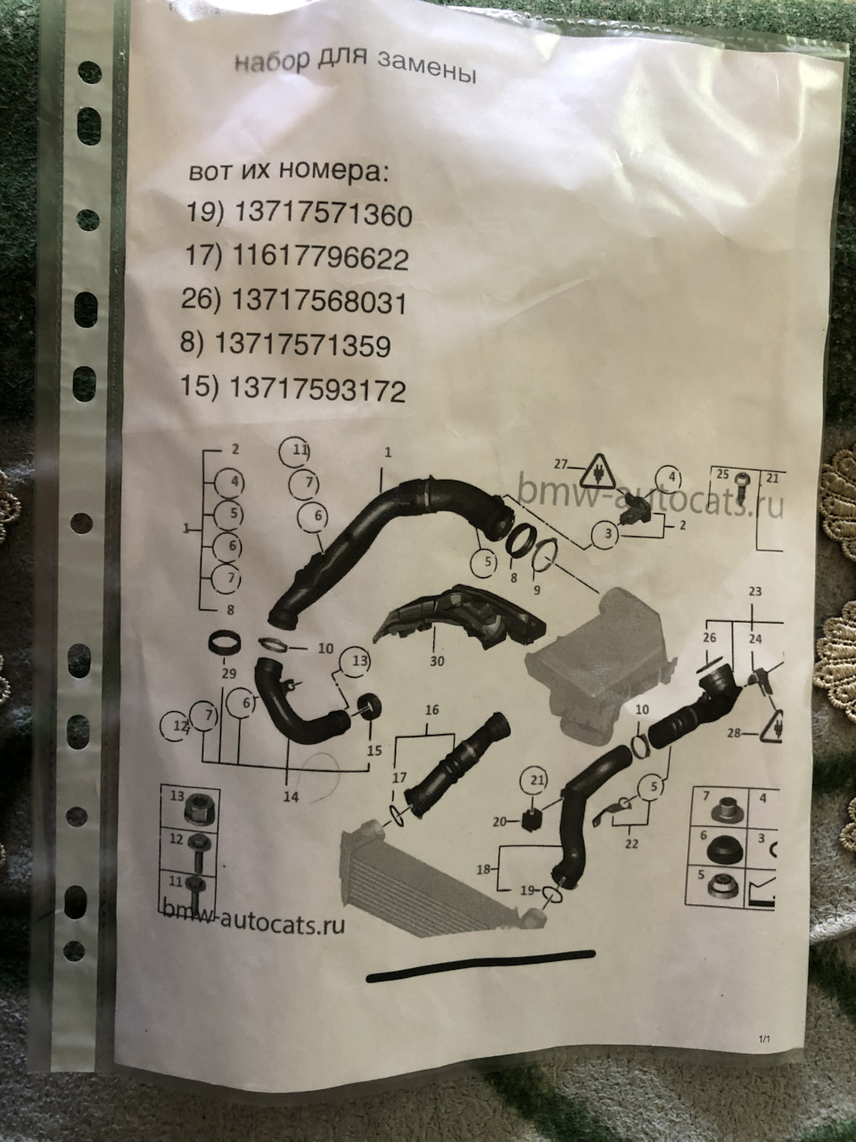 13717568031 Кольцо круглого сечения BMW | Запчасти на DRIVE2