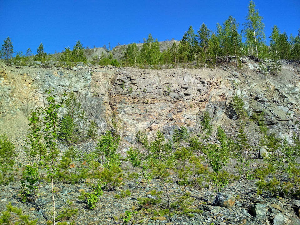 Винил. Готово — Volkswagen Passat B7, 1,8 л, 2012 года | стайлинг | DRIVE2