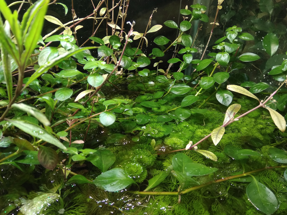 565002H200 РЕЕЧНЫЙ РУЛЕВОЙ МЕХАНИЗМ В СБОРЕ KIA HYUNDAI | Запчасти на ...