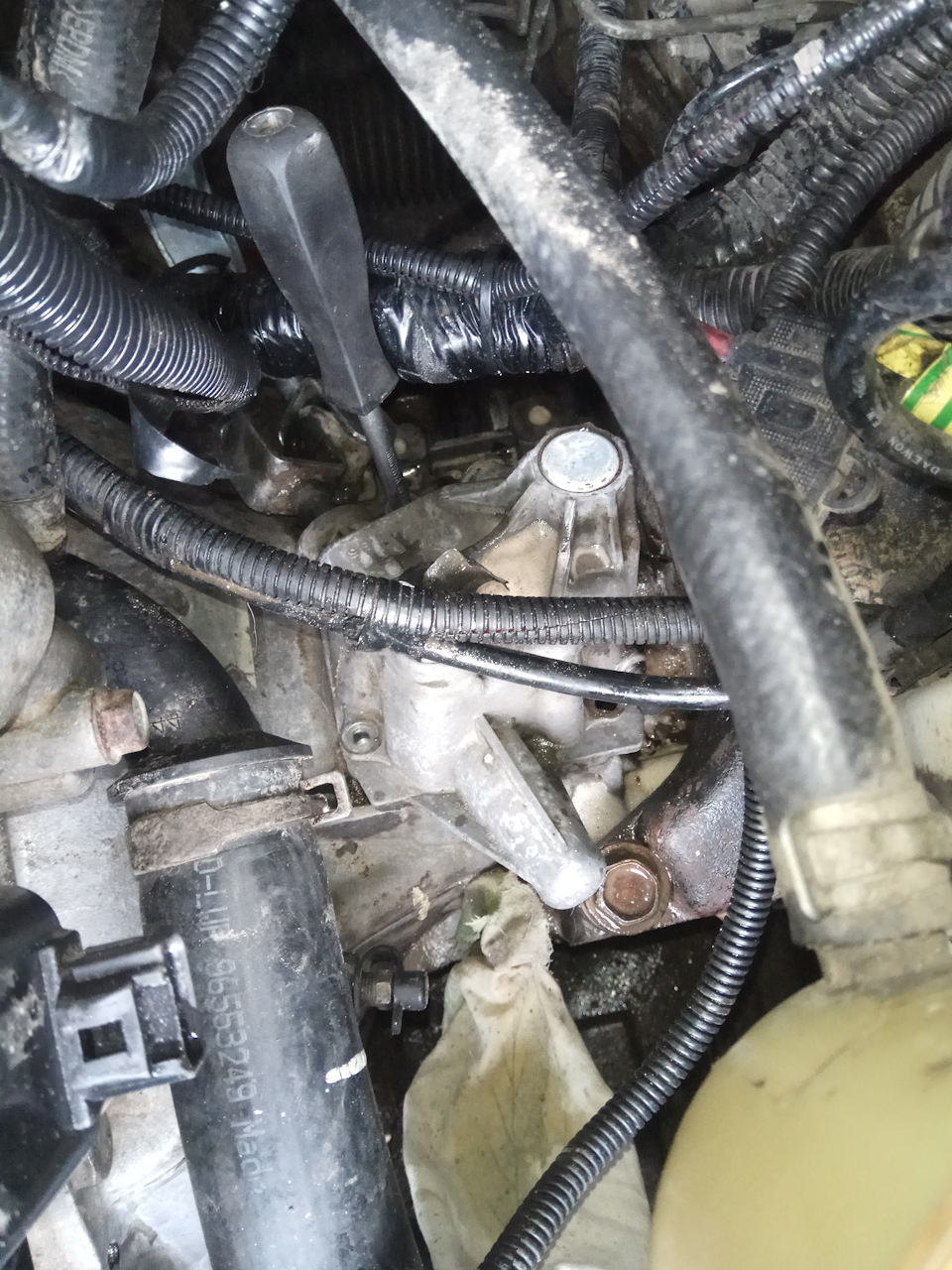 96553249 Патрубок радиатора нижний М/T GM | Запчасти на DRIVE2