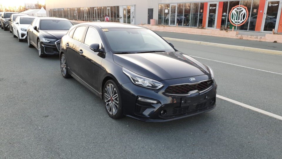 Покупка зимних колес — KIA K3 GT, 1,6 л, 2019 года | шины | DRIVE2