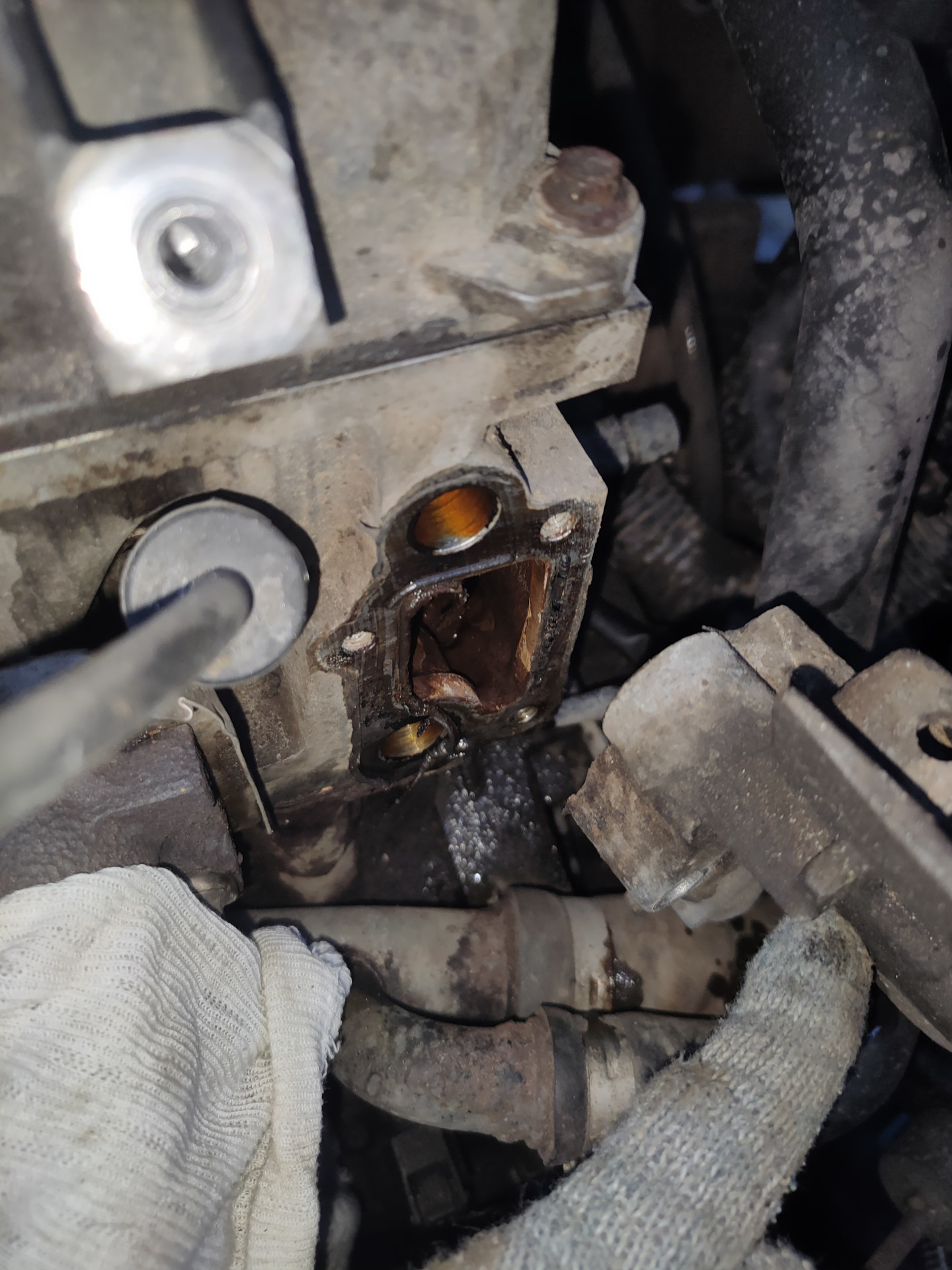 #43 Замена патрубков, корпуса термостата и другое — Renault Logan (1G ...