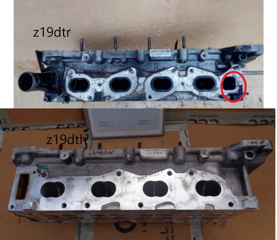 z19dtr ГБЦ — DRIVE2