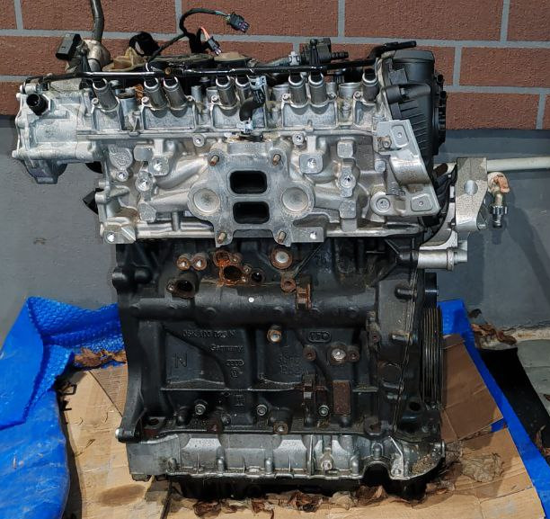 Stage 4 — Volkswagen Golf R Mk7, 2 л, 2019 года | запчасти | DRIVE2