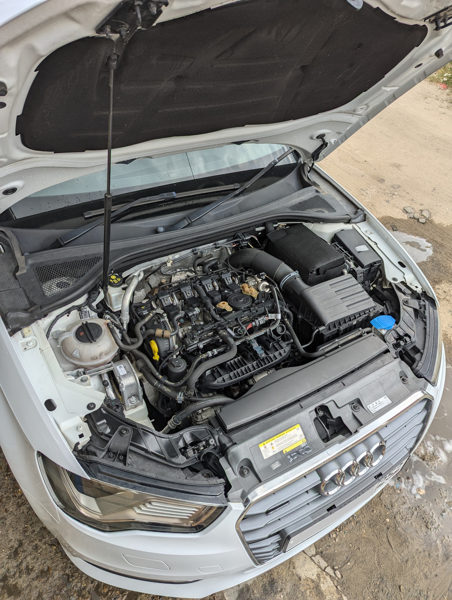 Первое ТО в РФ. Диагностика. — Audi A3 (8V), 1,8 л, 2015 года ...