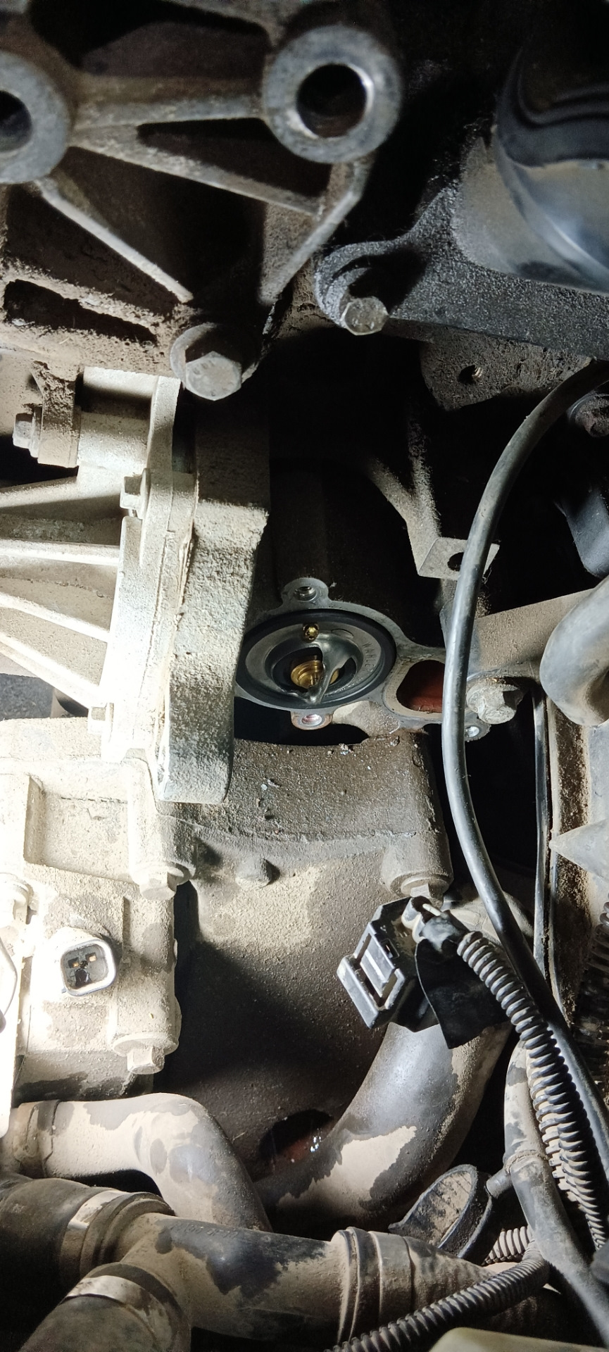 Замена термостата — Ford Focus Hatchback II, 1,6 л, 2006 года | своими ...