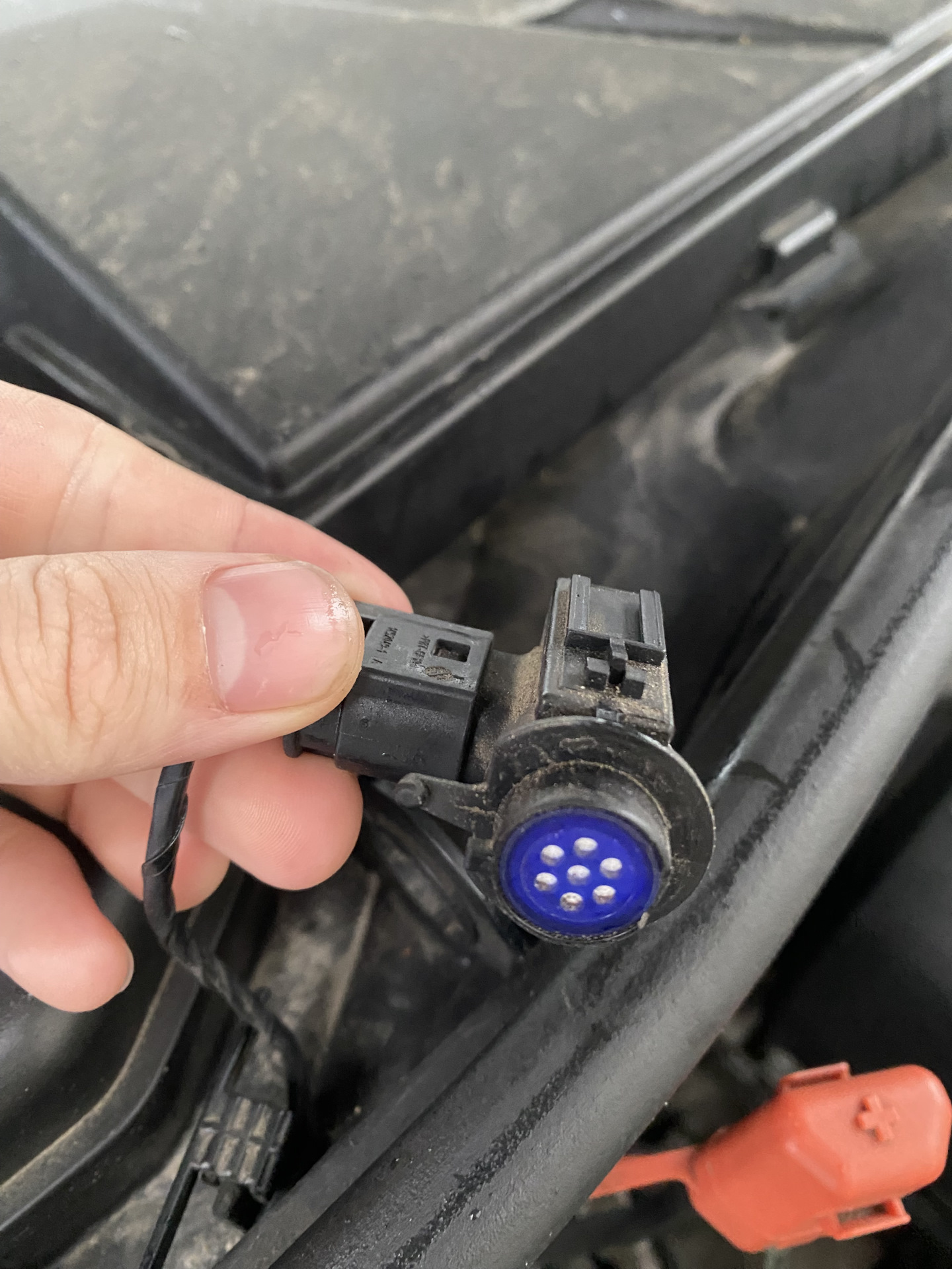 Датчик AUC — BMW 3 series (E90), 3 л, 2011 года | электроника | DRIVE2