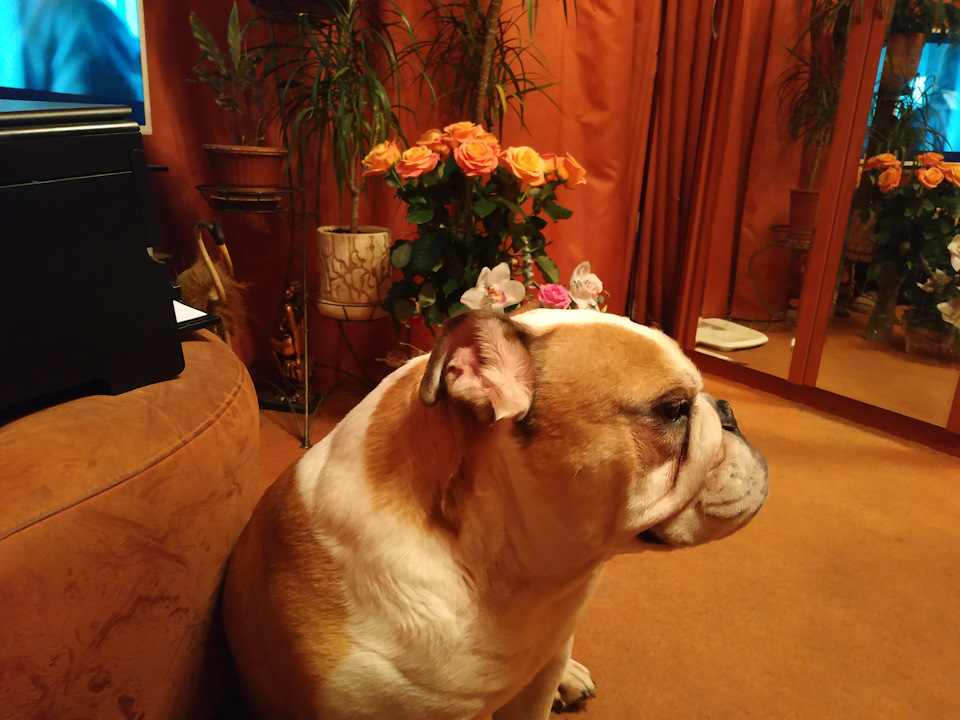 Задний мост, главная пара Mercedes DB609 41x11 / Sprinter DB412-416 ...