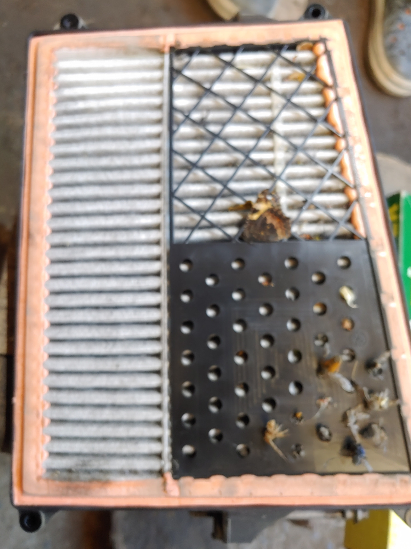 Замена масла и фильтров, отзыв о воздушных фильтрах Mann C25004 C27006 ...