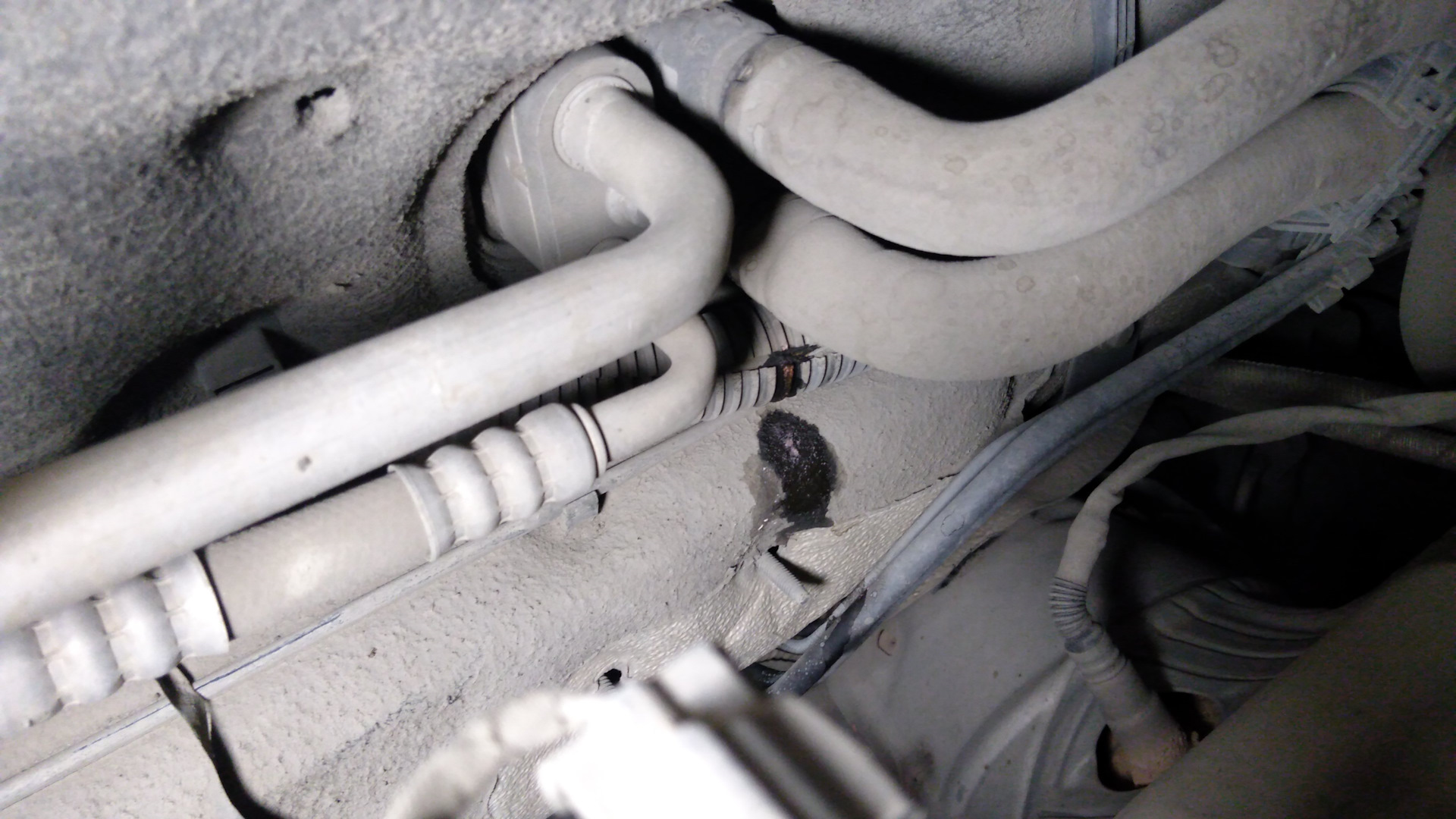 FORD 2025166 ШЛАНГ ОТОПИТЕЛЯ САЛОНА ВЫПУСКНОЙ — Ford Focus Sedan II, 1 ...