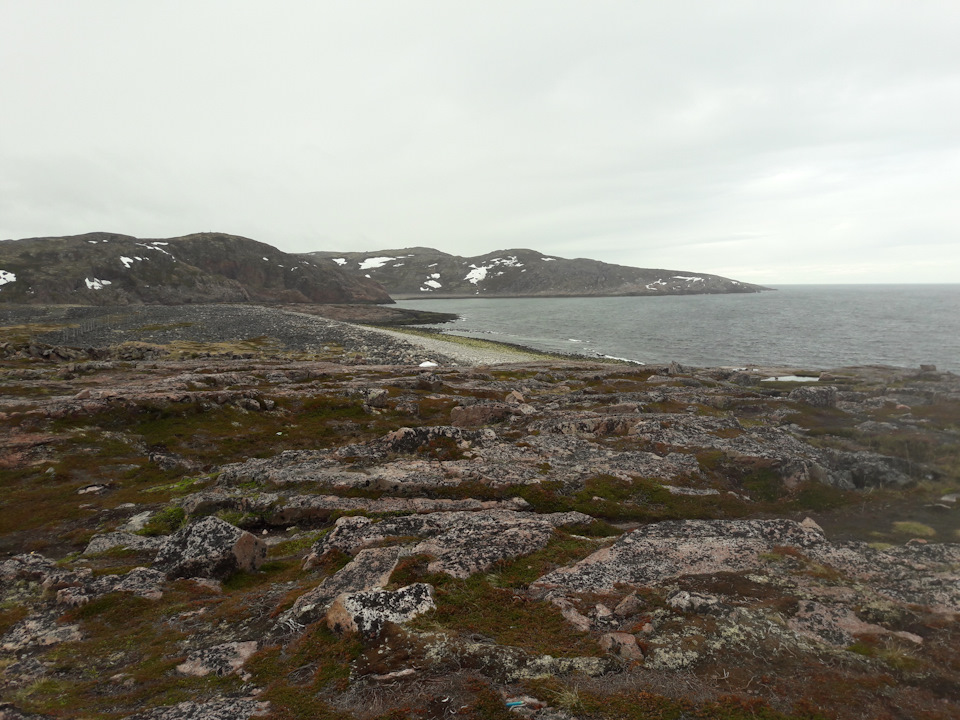 Honda Accord Euro R (CL7) 2.0 бензиновый 2003 | на DRIVE2