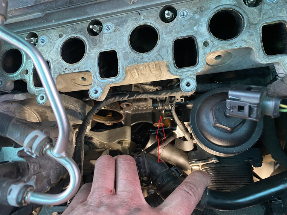 06B121687 Уплотнит. кольцо VAG | Запчасти на DRIVE2