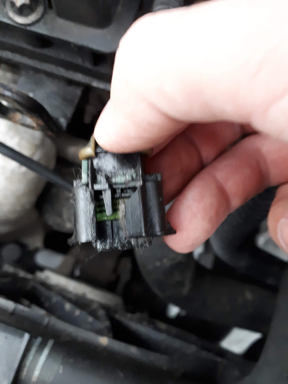 Замена прокладки датчика распредвала — Opel Astra H, 1,8 л, 2008 года ...