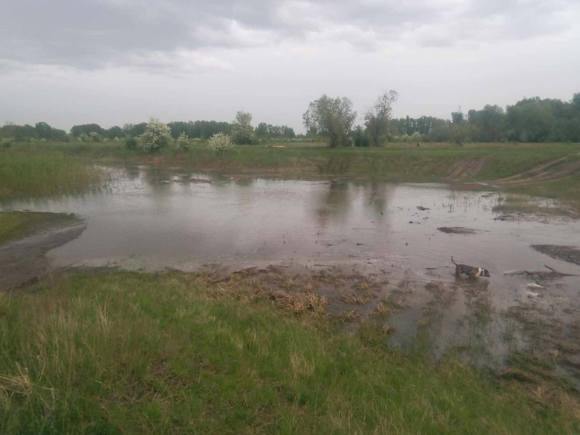 Распиновка MMI 3G HI он же – 8Т1035666D J794 — Audi A4 (B8), 2 л, 2010 ...