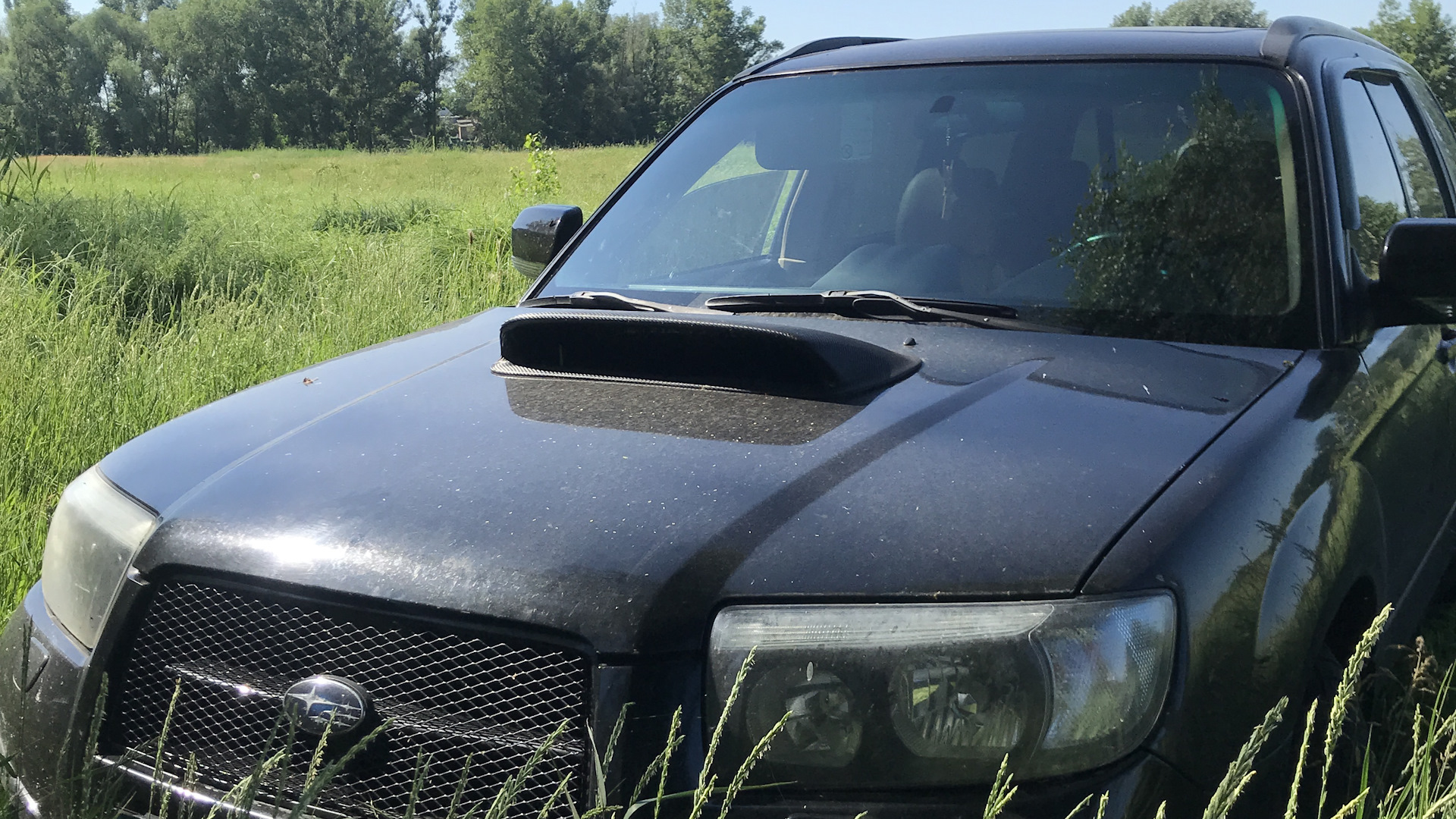 Subaru Forester (SG) 2.5 бензиновый 2007 | Резвый Конь на DRIVE2