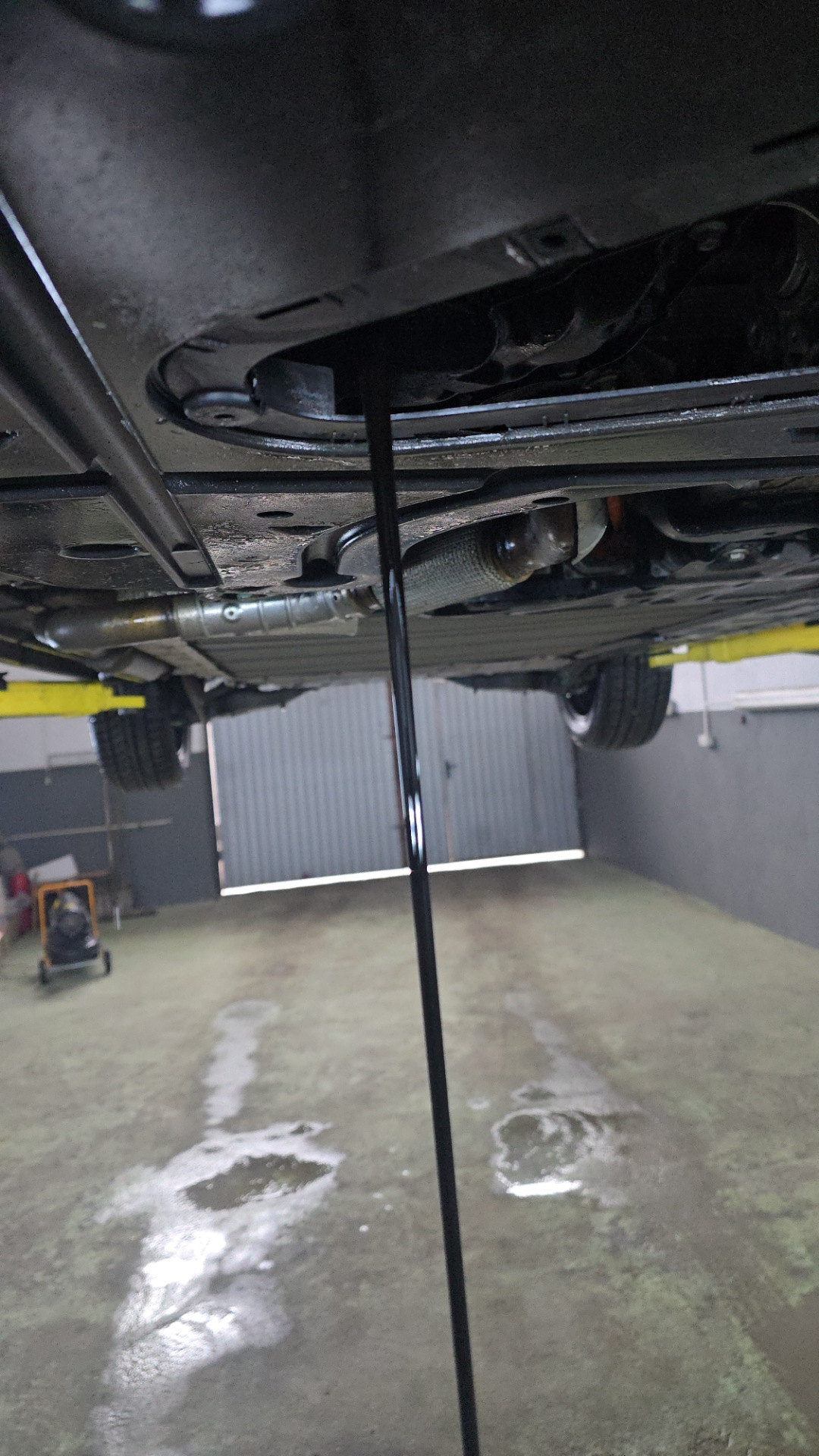 Первая замена масла — BYD Song Plus DM-i, 1,5 л, 2024 года | плановое ...