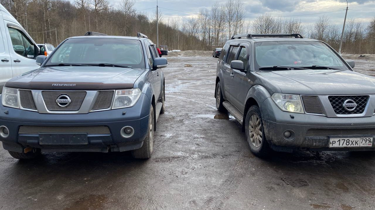 Nissan Pathfinder (3G) 2.5 дизельный 2008 | Пиф-Паф на DRIVE2