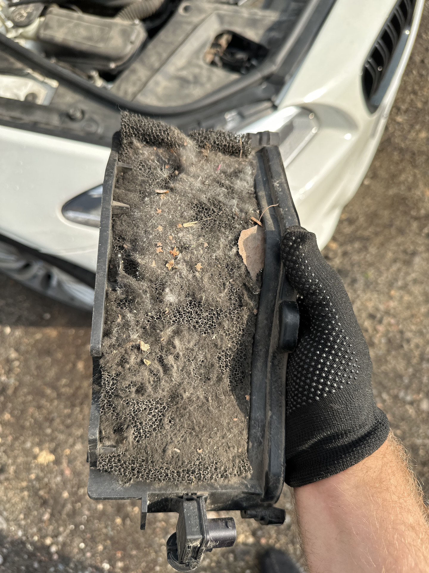 Чистка фильтра грубой очистки + мойка двигателя — BMW 5 series (F10), 3 ...