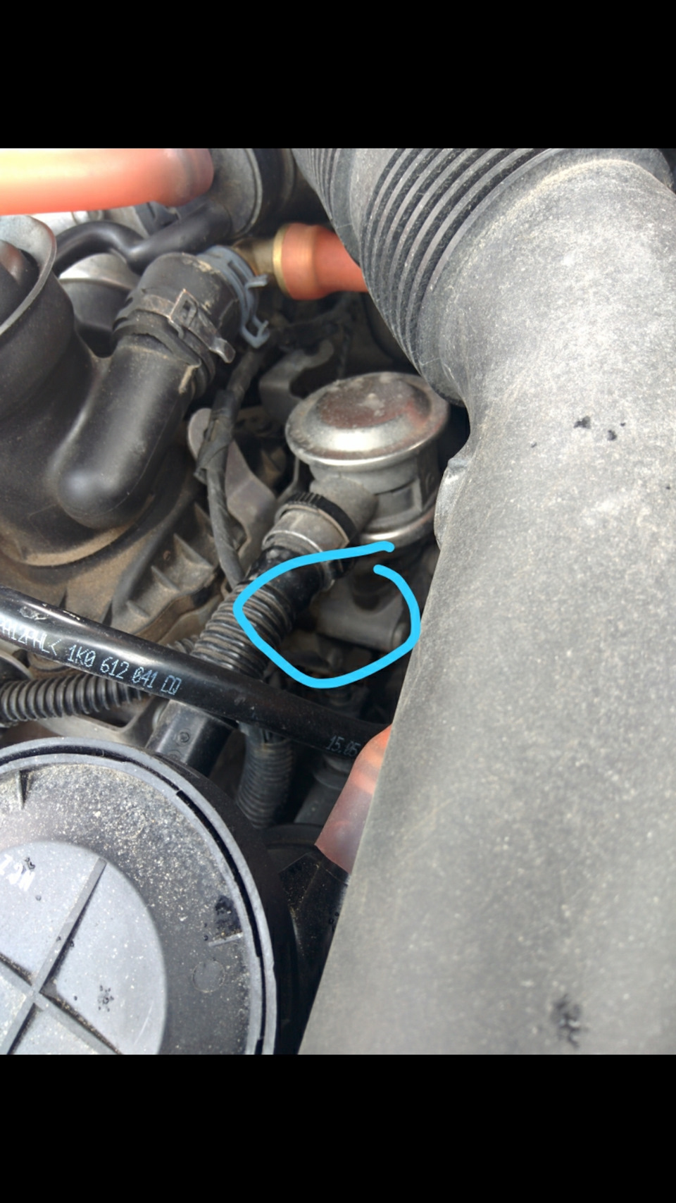 Что за подтек масла? — Skoda Octavia A5 Mk2, 1,6 л, 2012 года ...