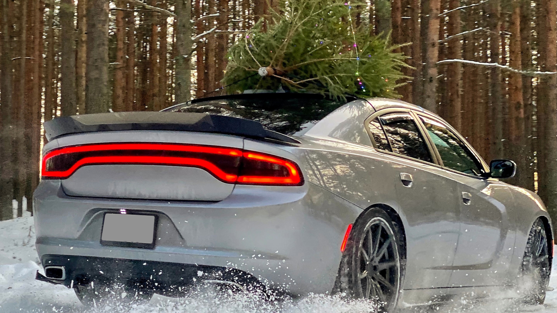 Dodge Charger (7G) 3.6 бензиновый 2017 | "FBI" на DRIVE2