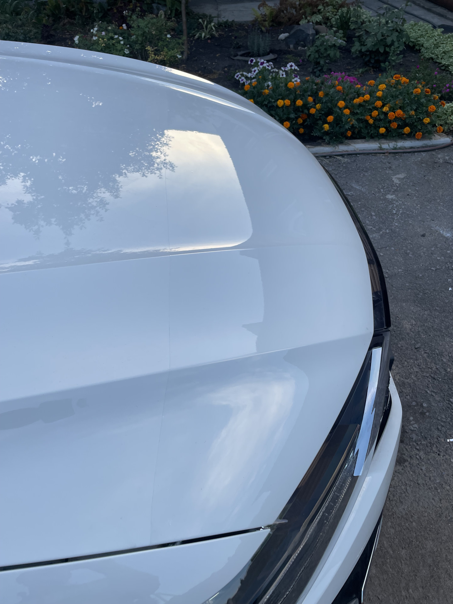 Оклейка элементов кузова защитной пленкой — Jetta VS5, 1,4 л, 2023 года ...