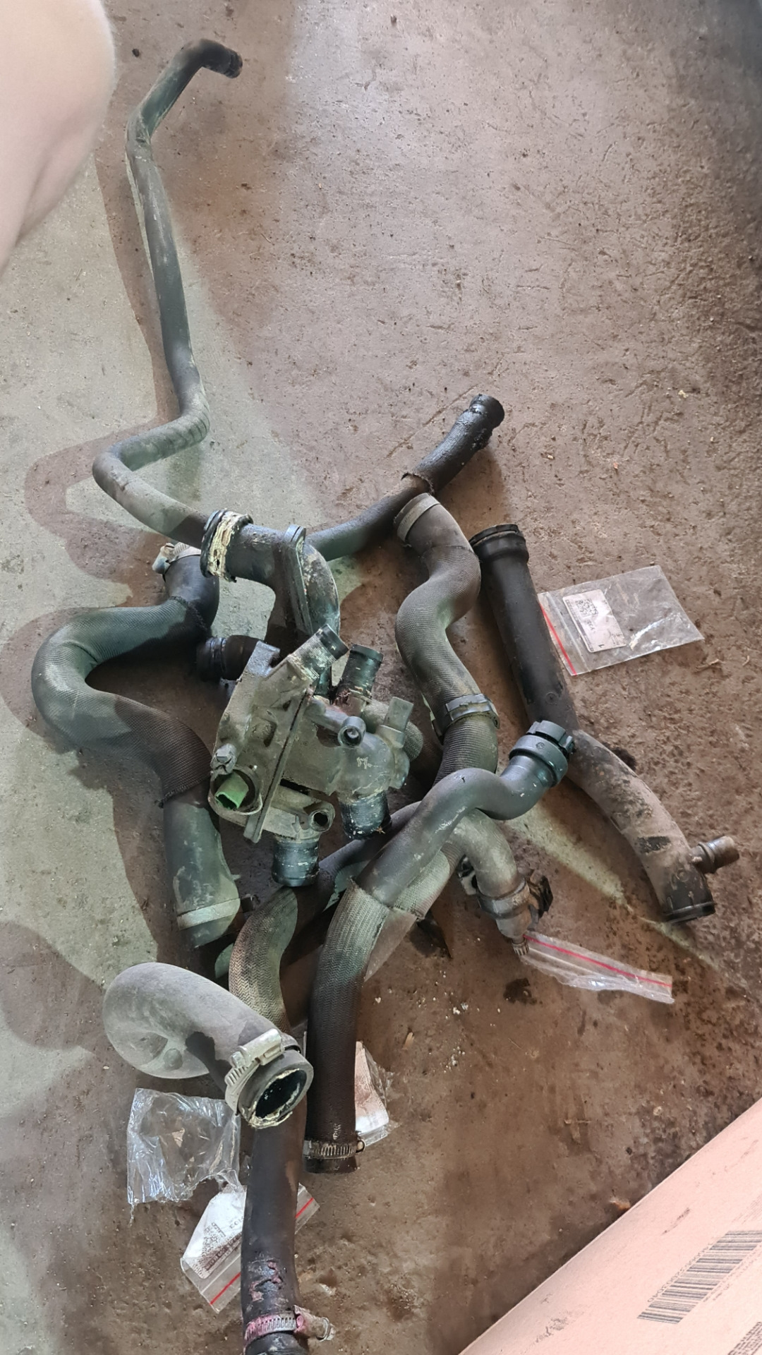 Система охлаждения — Peugeot 308 (1G), 1,6 л, 2008 года | визит на ...