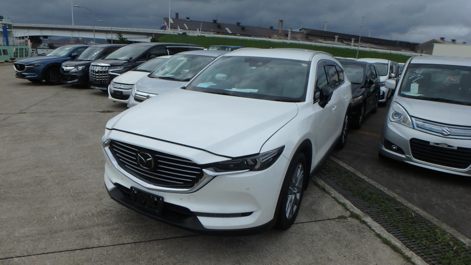 Покупка Мазда СХ-8 через Автозаказ — Mazda CX-8, 2,2 л, 2018 года | покупка машины | DRIVE2