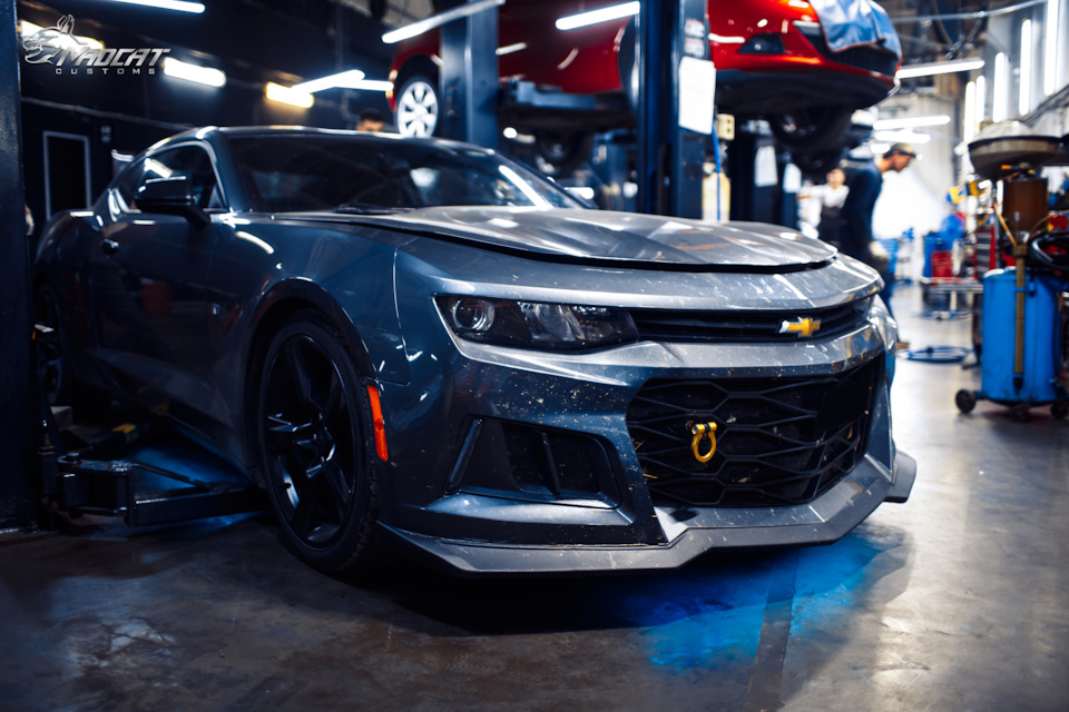 MaDCaT Customs: отзывы, цены, фото