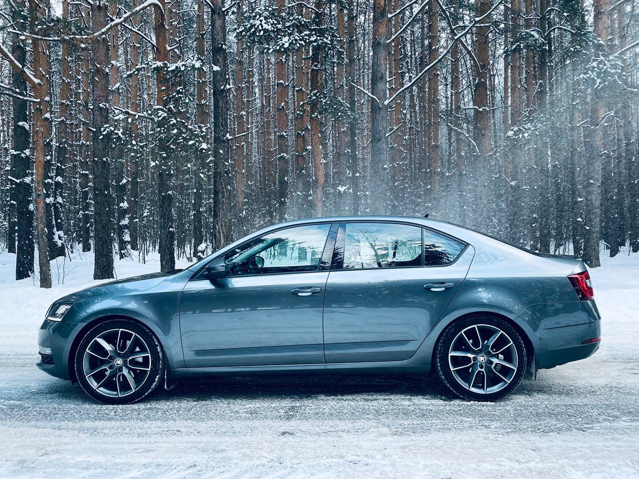 Gemini R 18 и капля Black Edition — Skoda Octavia A7 Mk3, 1,8 л, 2017 года | тюнинг | DRIVE2