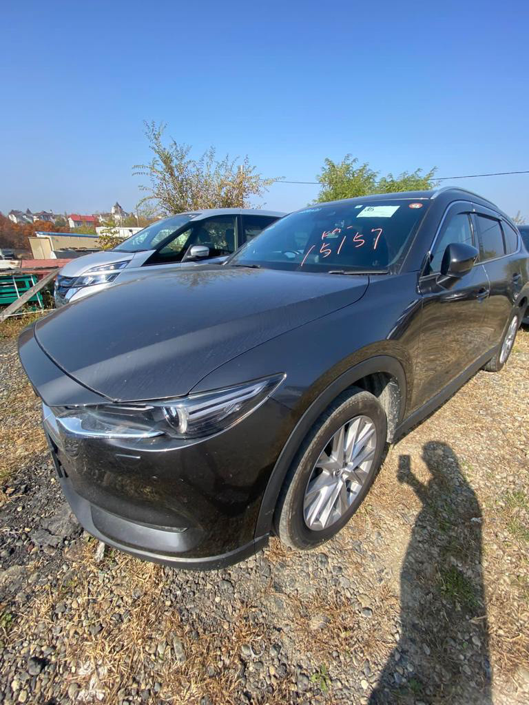 История выбора и покупки — Mazda CX-8, 2,2 л, 2018 года | покупка машины | DRIVE2