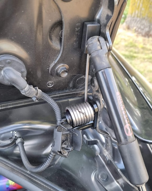 Trunk Popper Mx5-Things — Mazda MX-5 (ND), 2 л, 2019 года | тюнинг | DRIVE2