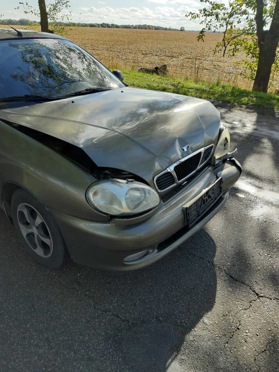 Избит, но не сломлен! — Daewoo Lanos, 1,5 л, 2007 года | ДТП | DRIVE2