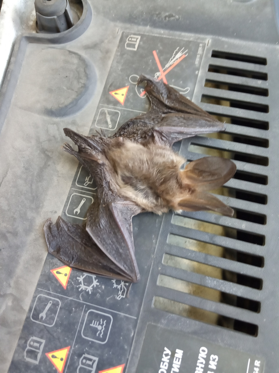 2320939075 Форсунка топливная TOYOTA LEXUS | Запчасти на DRIVE2