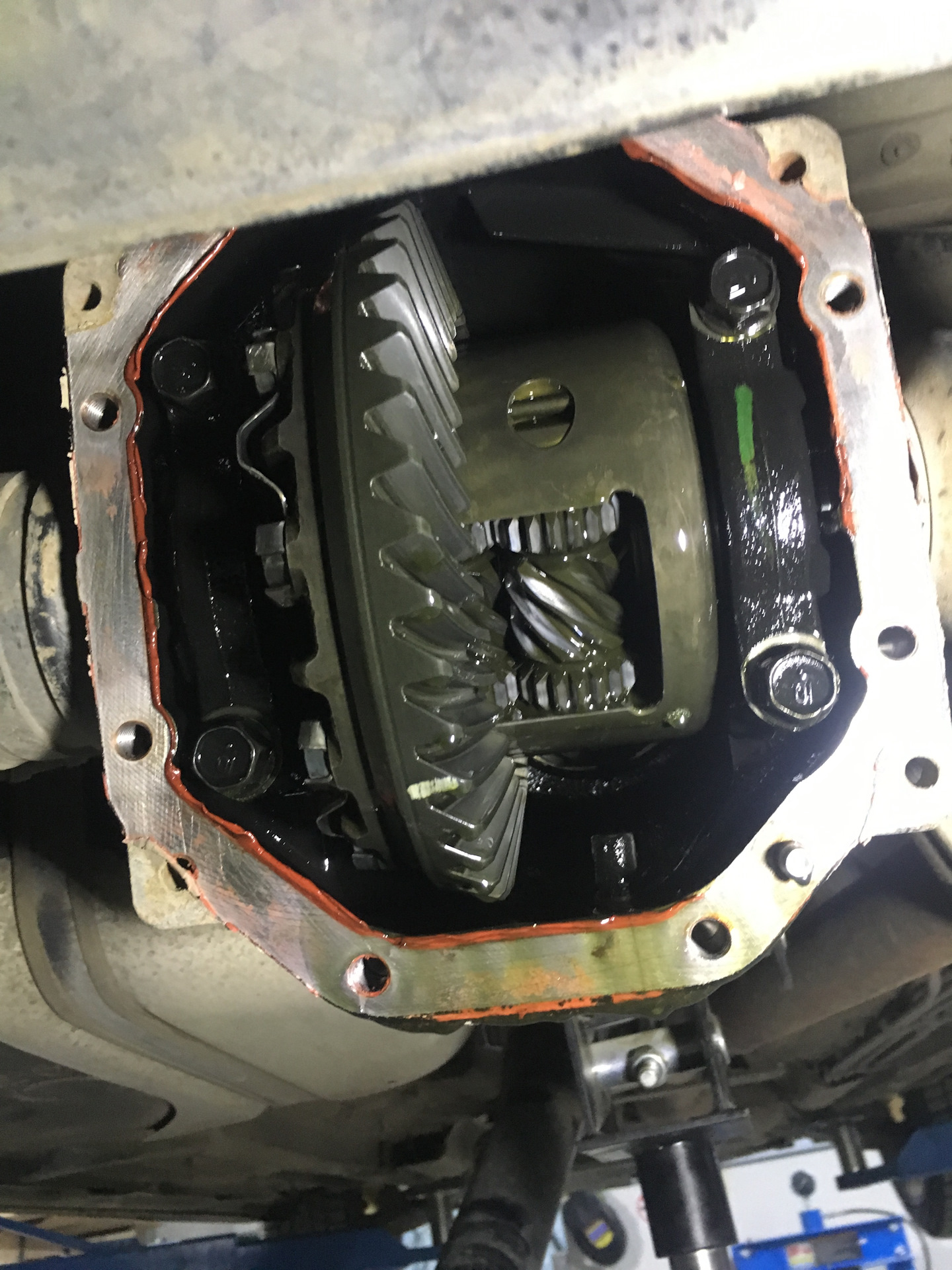 Присадка «животворящая» Xenum CE300. — Land Rover Freelander 2 (L359), 2,2 л, 2012 года ...