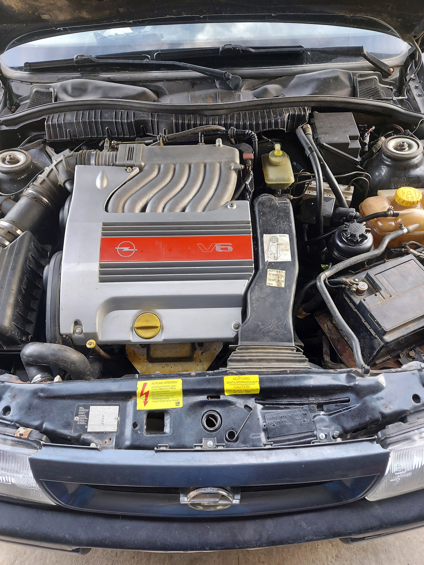 Opel vectra a c25xe v6 — Сообщество «DRIVE2 Opel Club» на DRIVE2